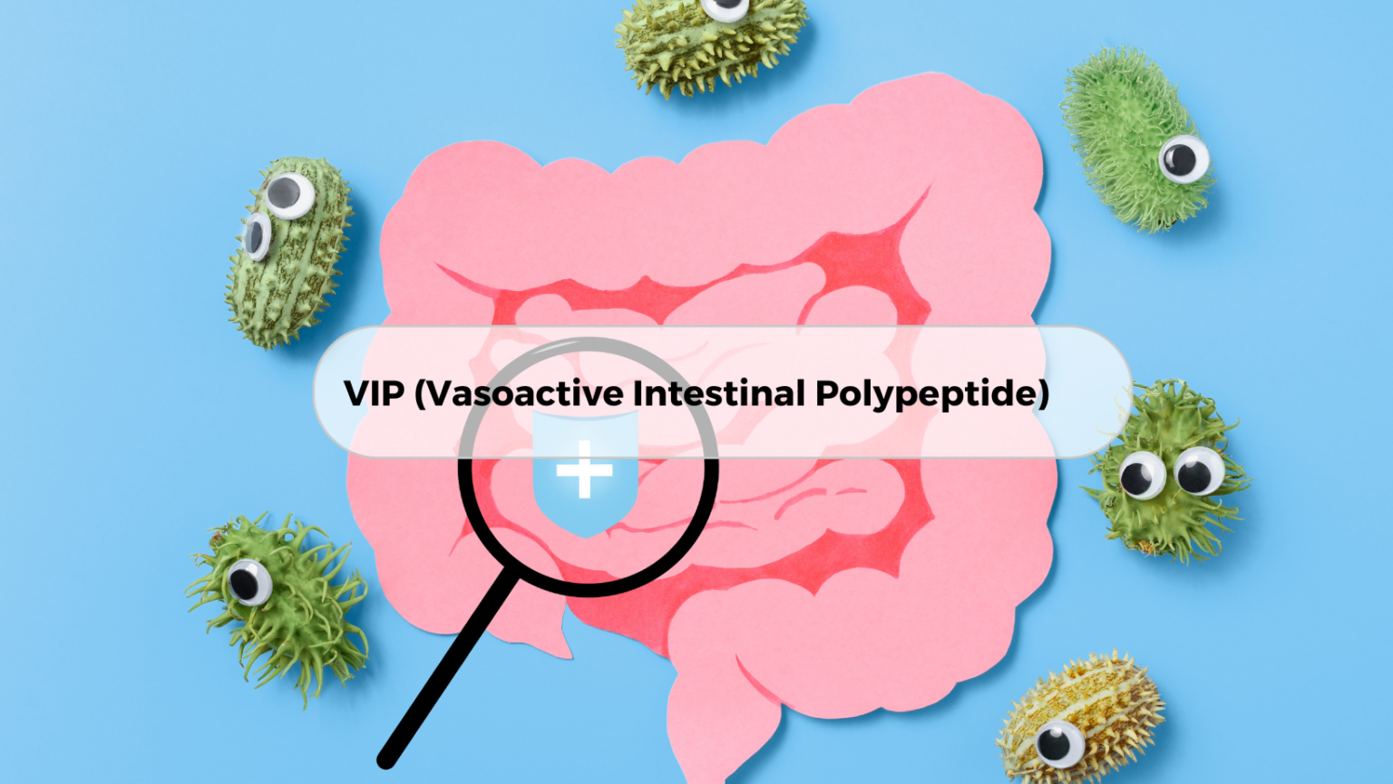 Peptide Therapy – Text2MD