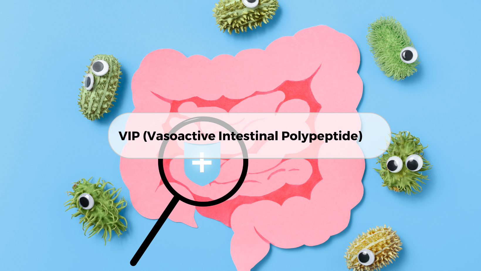 Peptide Therapy – Text2MD